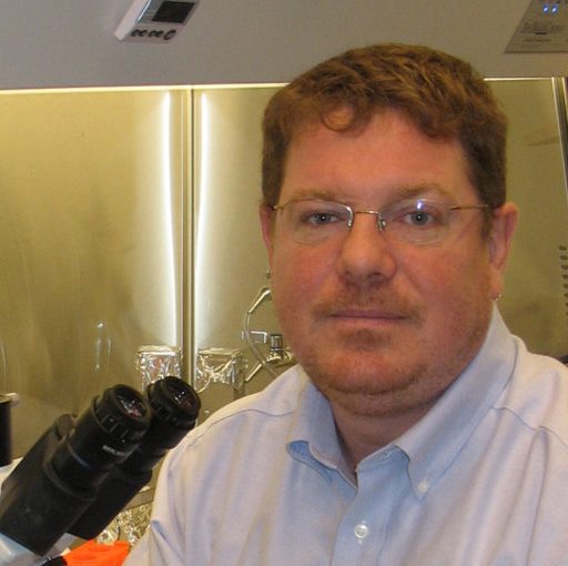 Steven D. Sheridan, Ph.D. – Perlis Lab
